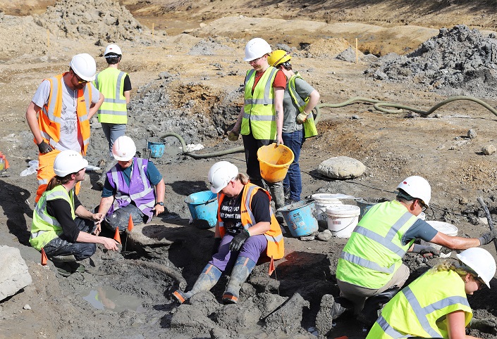Further mammoth remains discovered at Hills quarry - Aggregates Business