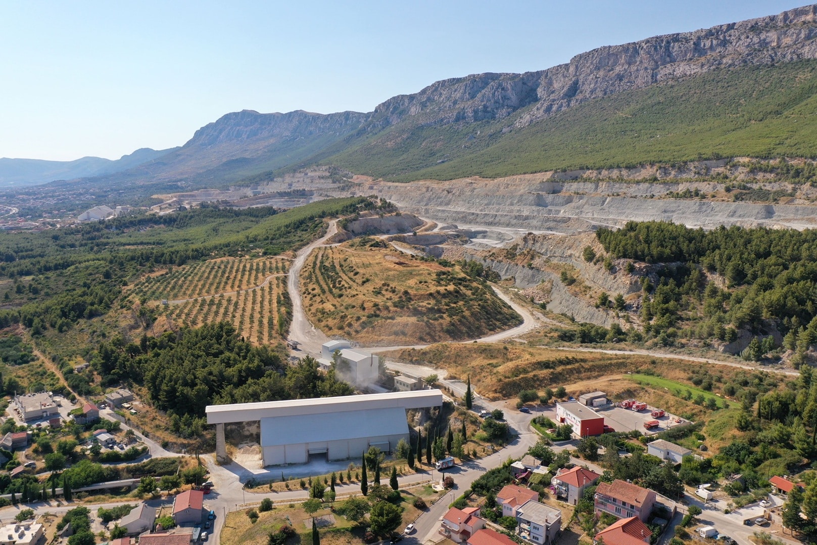 Cemex achieves record olive harvest from rehabilitated quarries ...